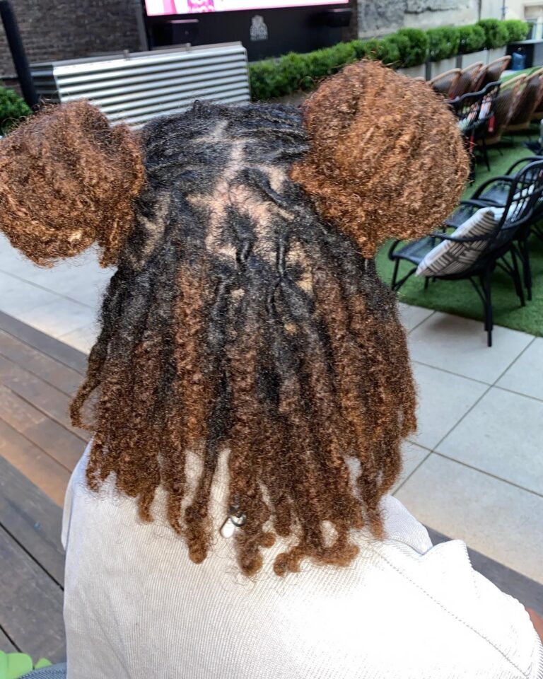 19 Two-Strand Twist Locs Hairstyles: Stunning and Unique Styles for ...