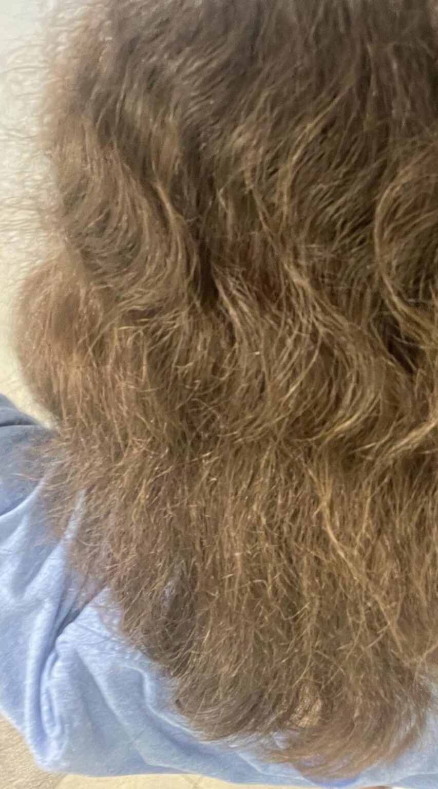 How to Make Your Hair Softer With Natural Methods: Easy Tips for Silky ...