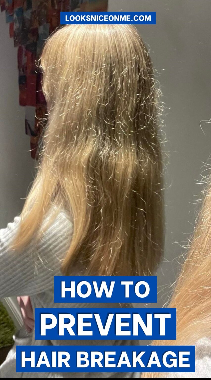How to Prevent Hair Breakage: Proven Tips for Stronger, Healthier Hair ...